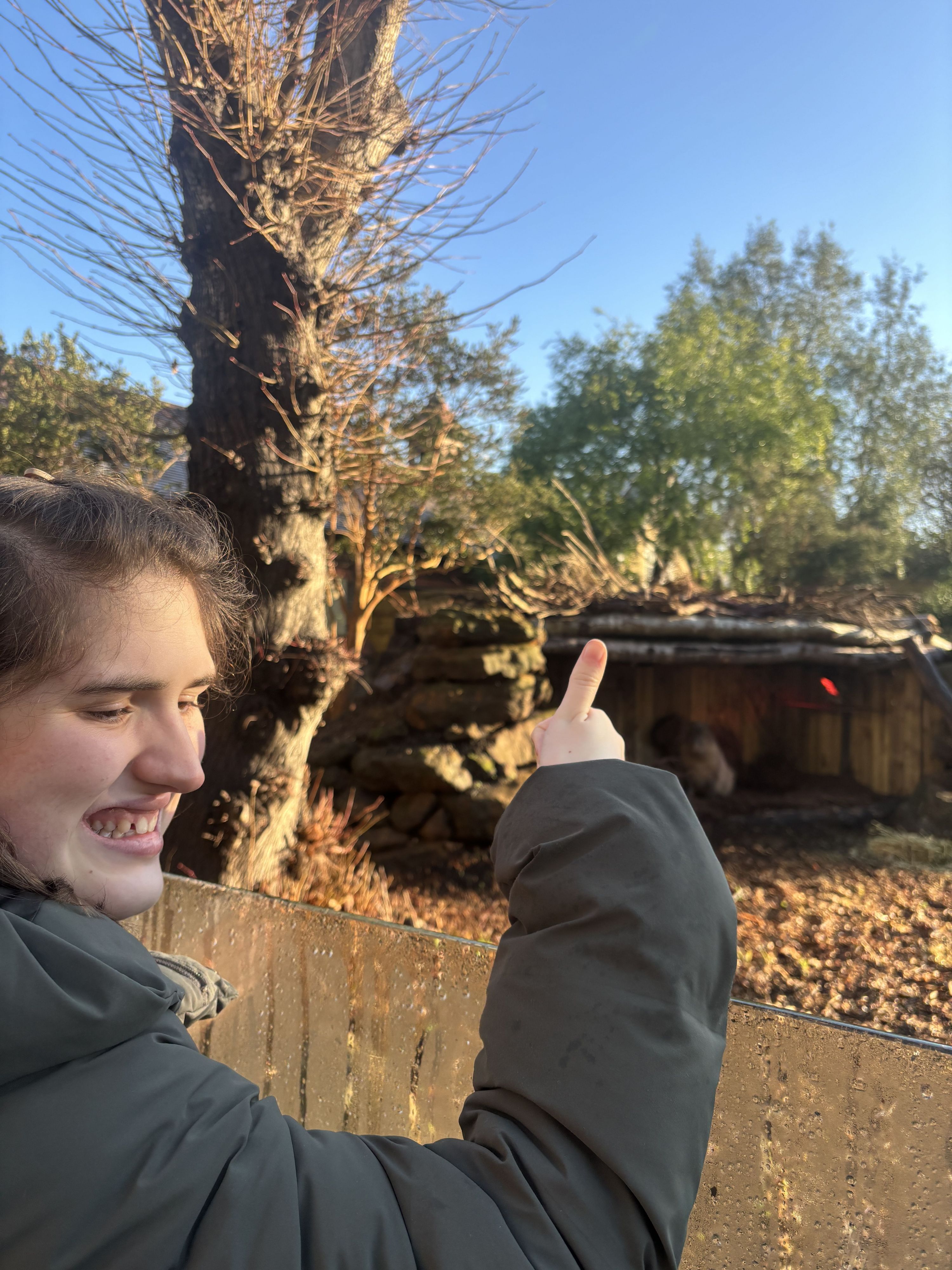 Lansdowne Turney Federation - Year 14 @ the ZOO!